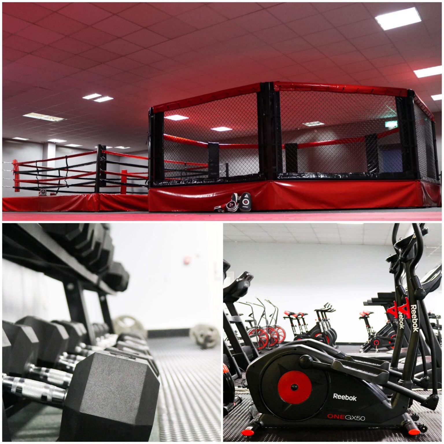 HOME - Open 24/7 MMA, Boxing and Weights Gym Watford Call 07954404514