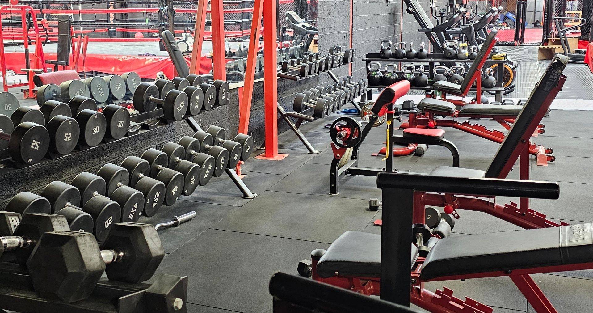 HOME - Open 24/7 MMA, Boxing and Weights Gym Watford Call 07954404514